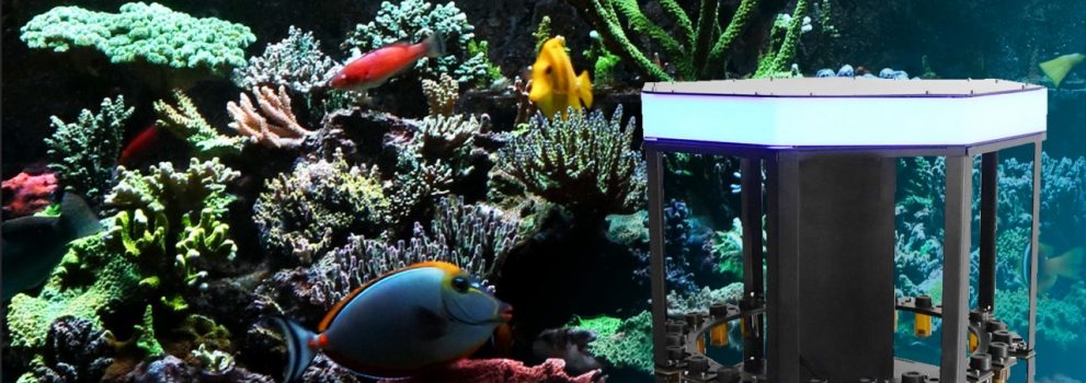 Blog - Reef Kinetics