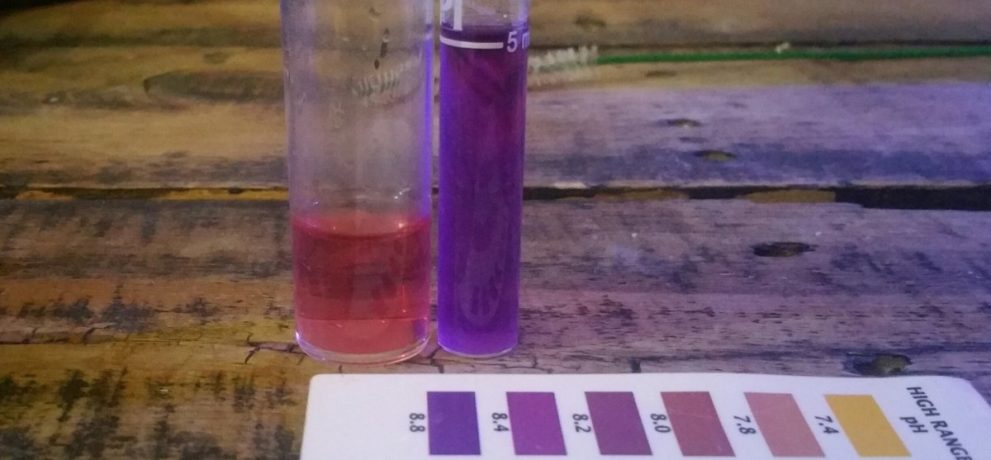 Importance of pH Testing in Aquariums and Ponds! - Reef Kinetics